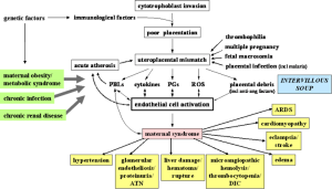 SOGC Guidelines: Diagnosis, Evaluation And Management Of The ...