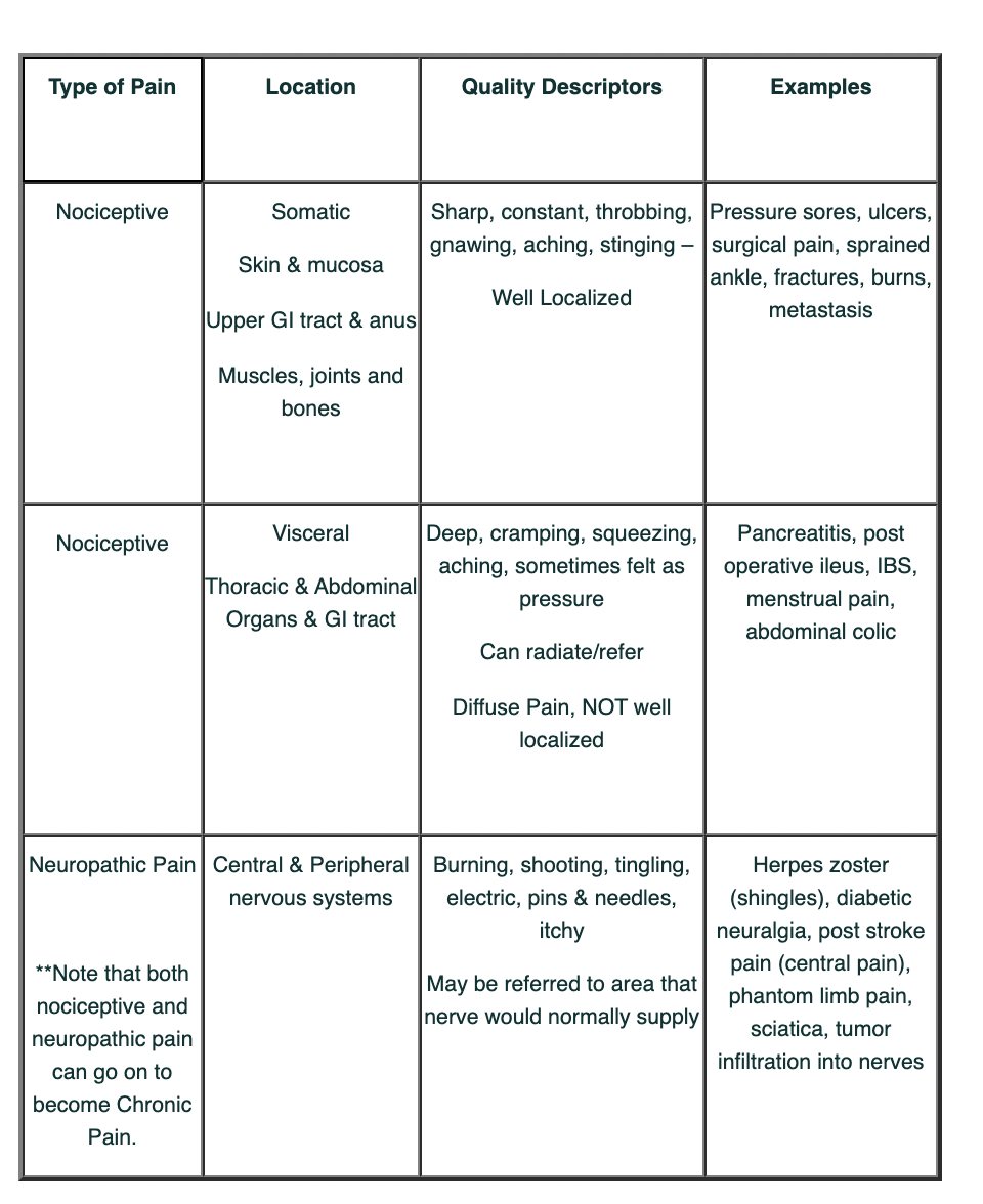 Classification & Physiology Of Pain – Educational Resources