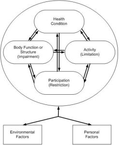 Lower Extremity Functional Scale (LEFS) – Educational Resources